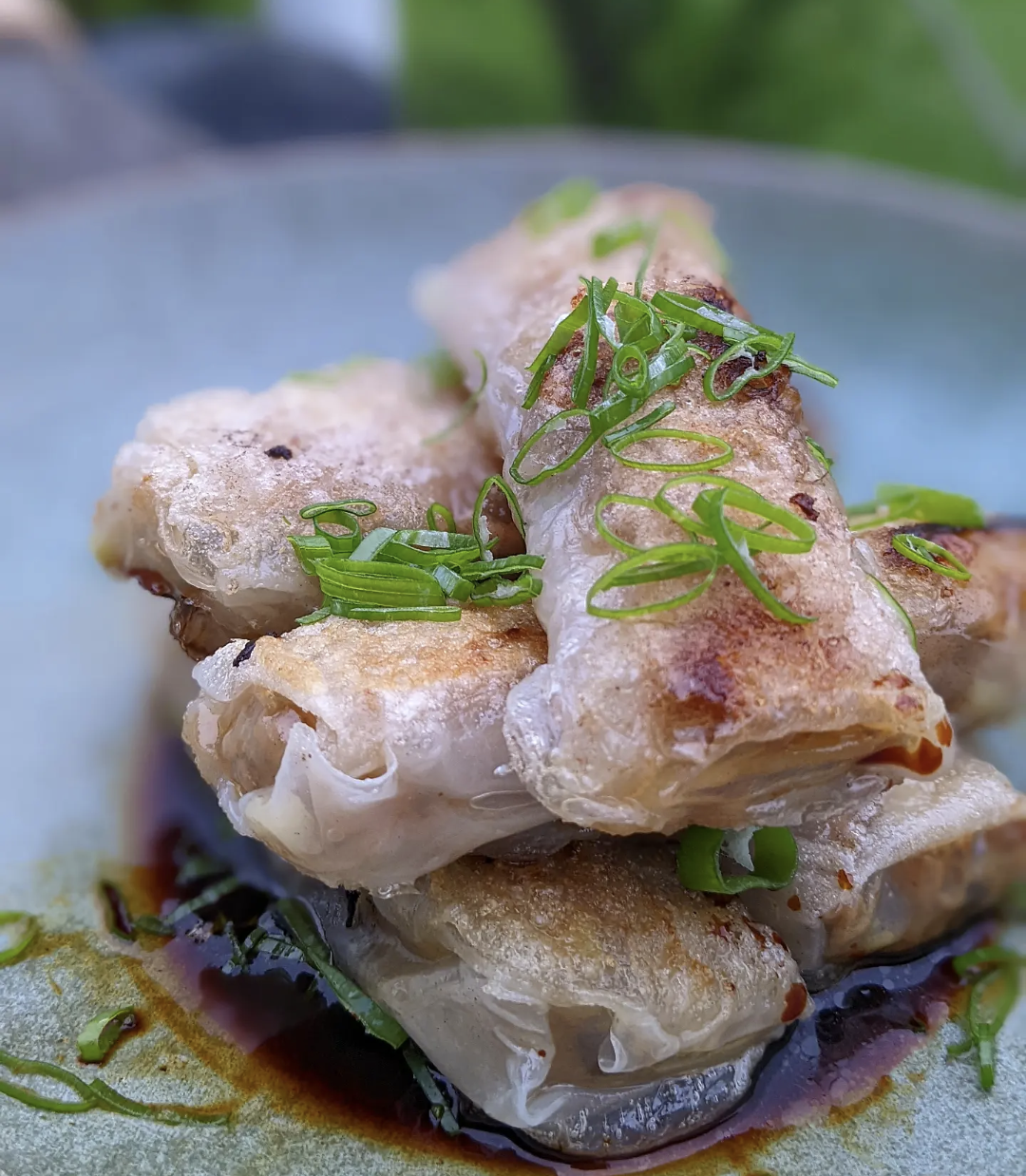 15 Easy Ground Beef Rice Paper Recipes for Quick Dinners